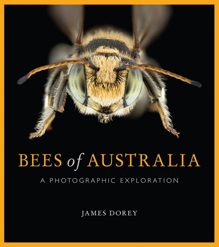 The Australian Native Bee Book: Keeping Stingless Bee Hives For Pets ...