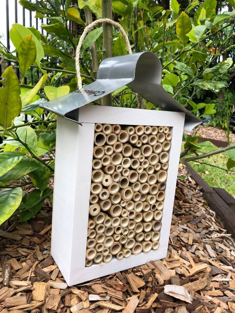Painted Solitary Native Bee Hotel Australian Insect All Bamboo