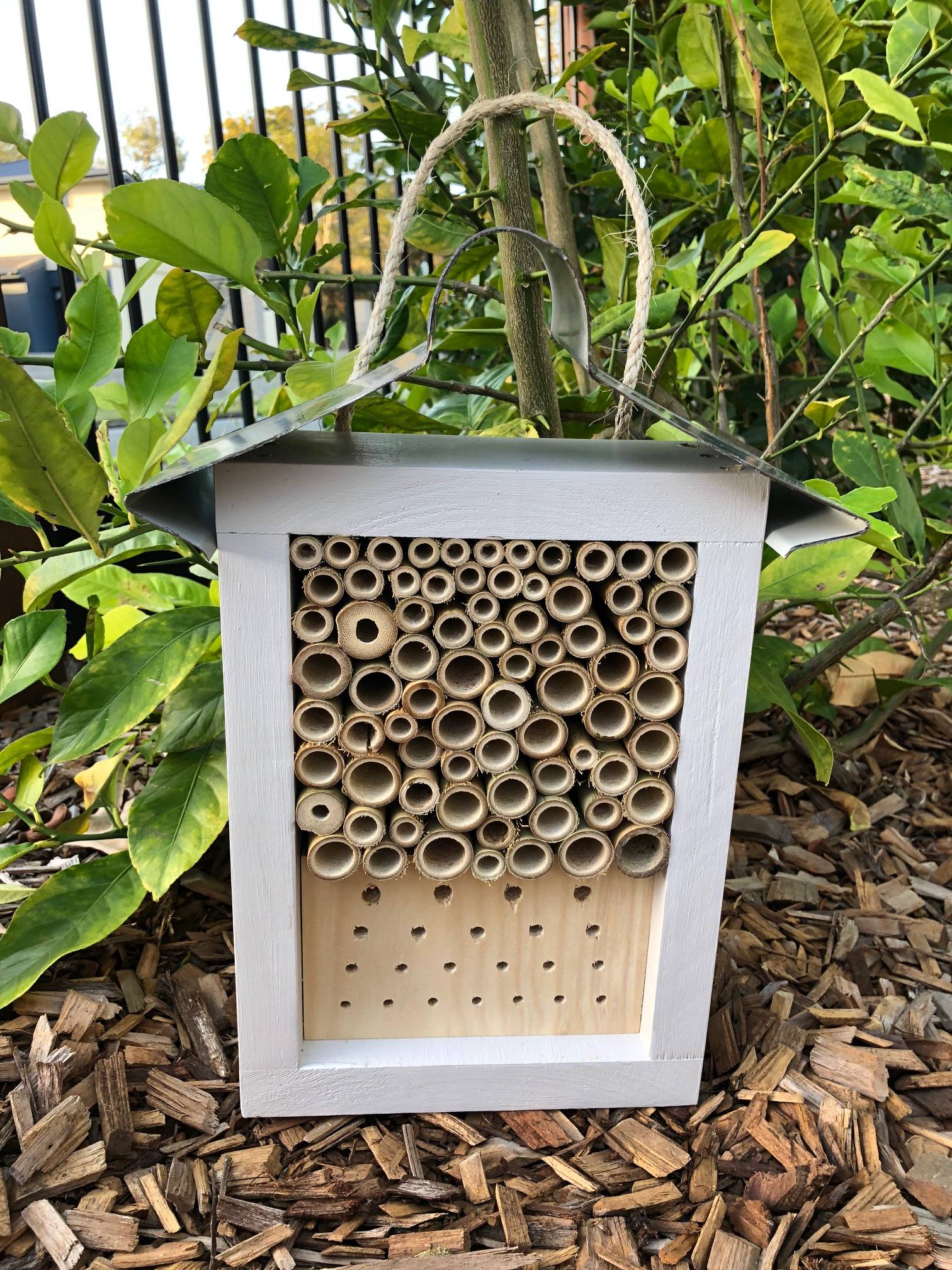 Painted Solitary Native Bee Hotel | Australian Ladybird and Insect ...