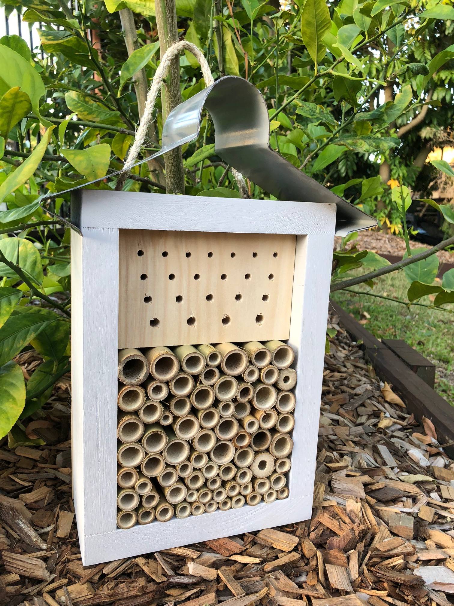 Painted Solitary Native Bee Hotel Australian Ladybird and Insect House ...