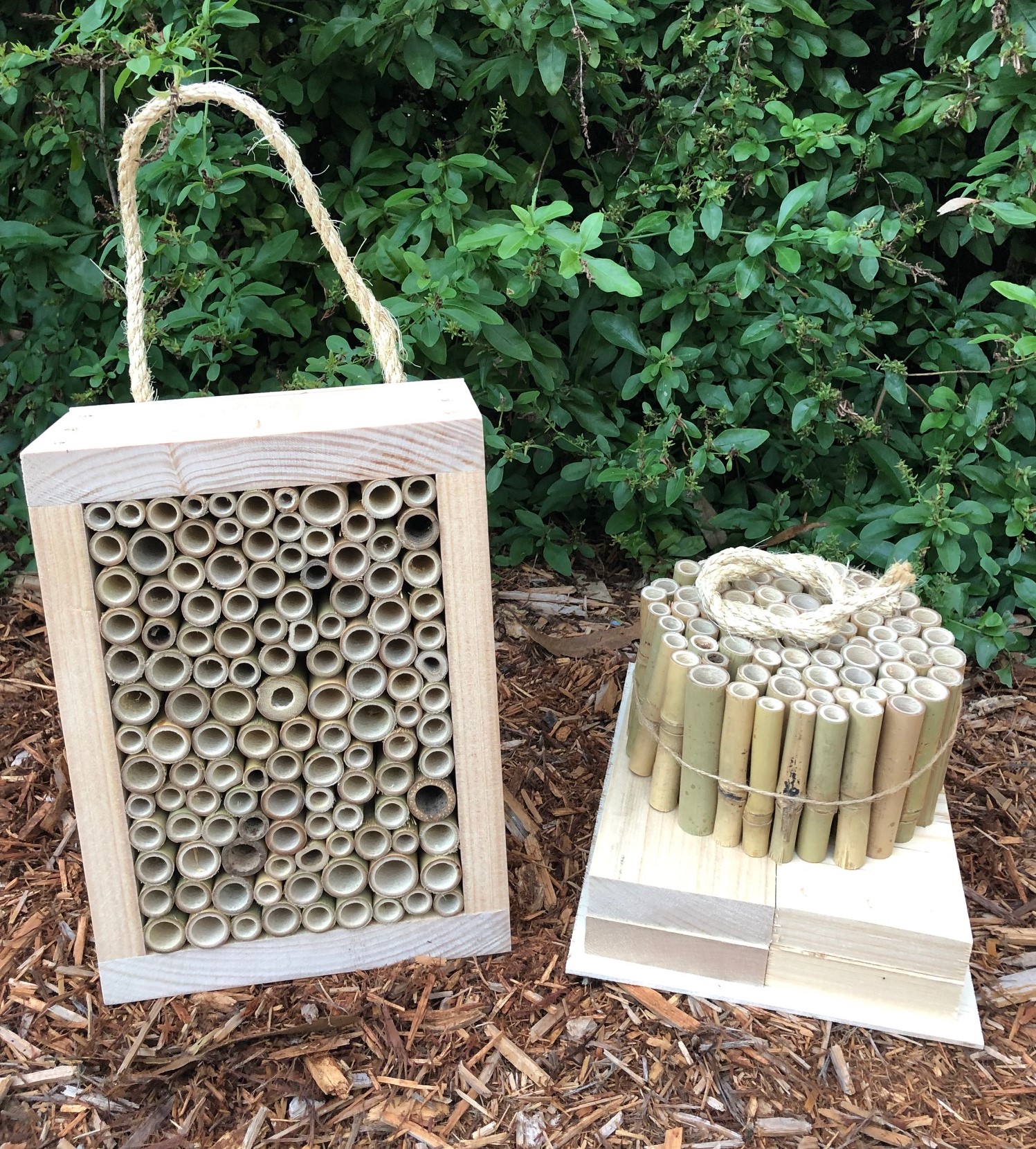 DIY Solitary Native Bee Hotel | Australian Ladybird and Insect House ...