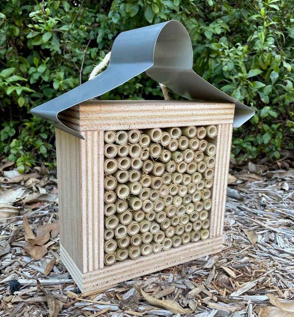 Bare Timber Solitary Native Bee Hotel Australian Ladybird ABeeC