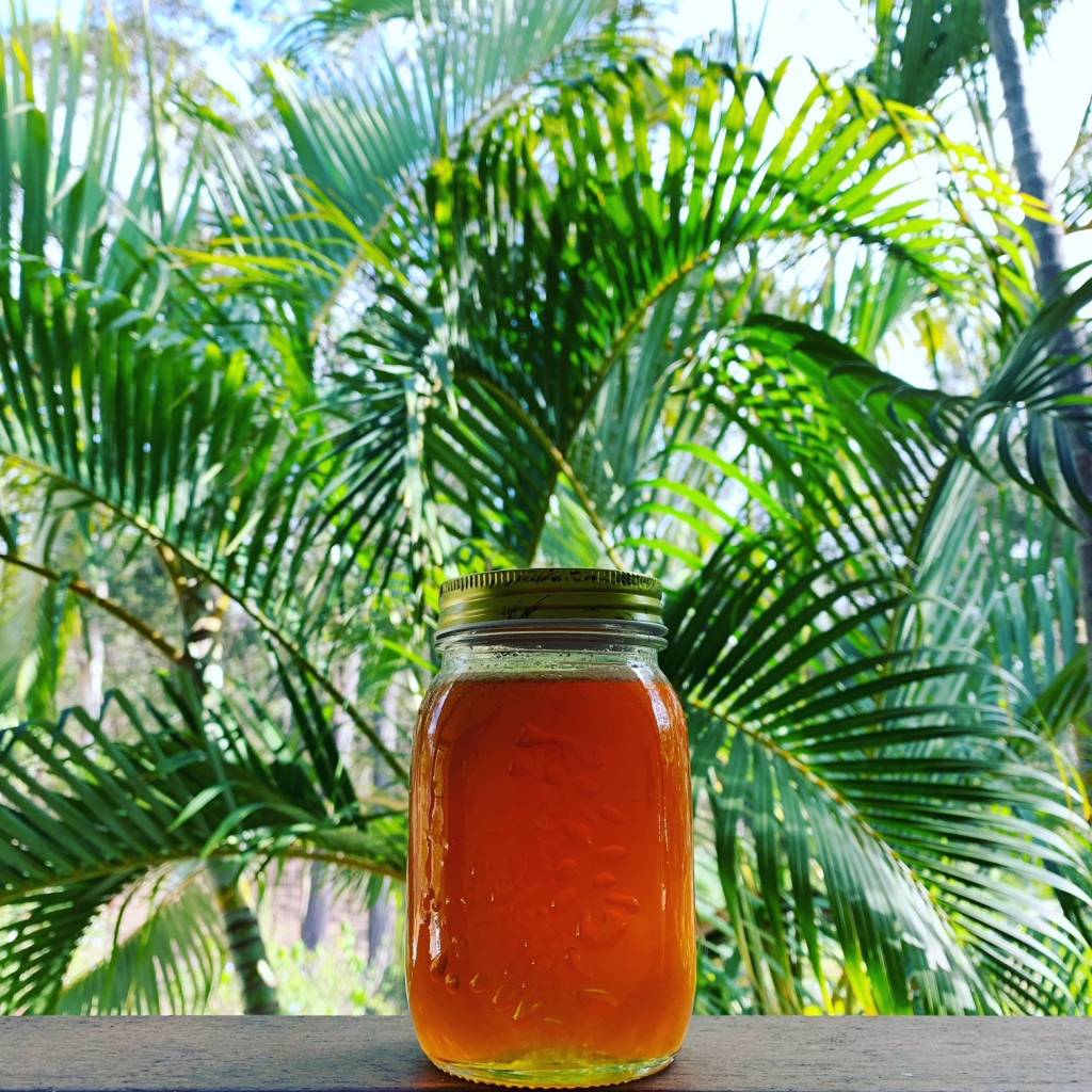 Stingless Australian Native Bee Honey Sugarbag - ABeeC Hives