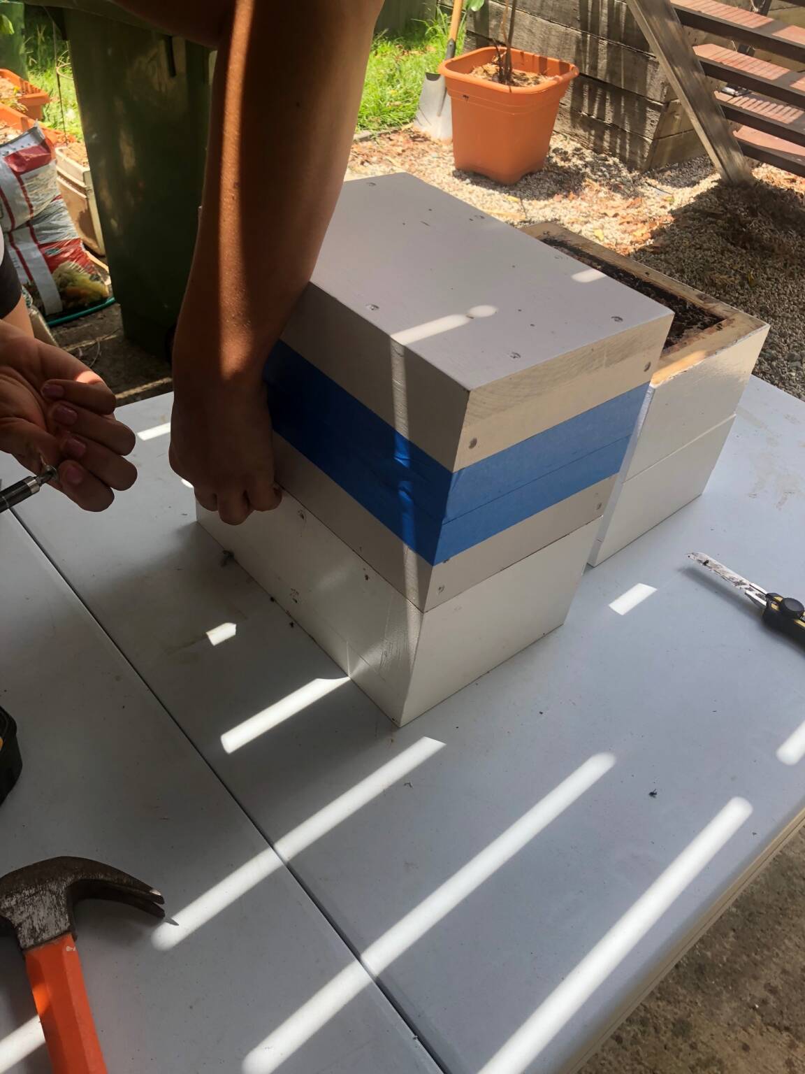 How To Guide For Splitting Stingless Bee Hives Australian Native