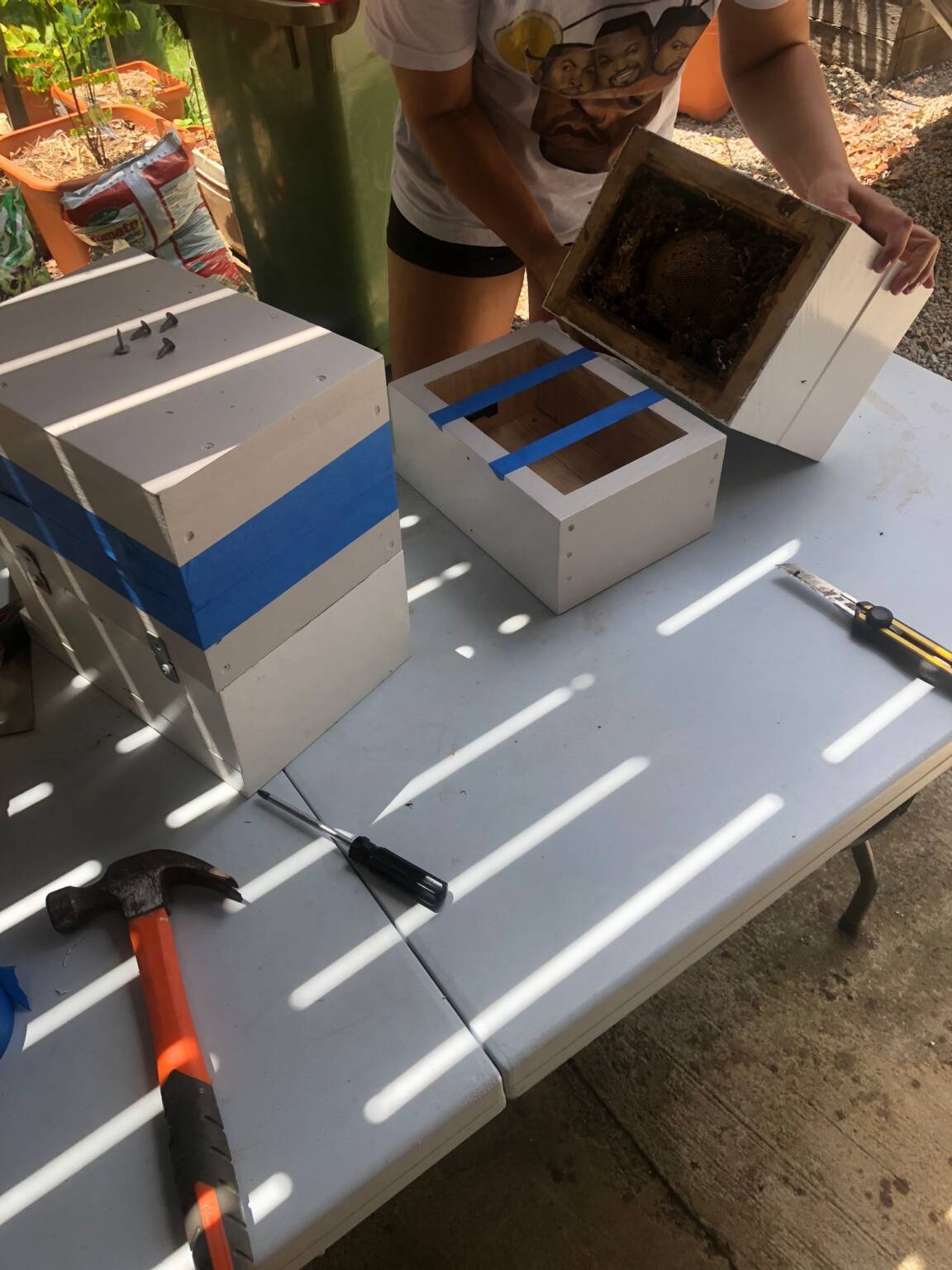 How To Guide For Splitting Stingless Bee Hives Australian Native