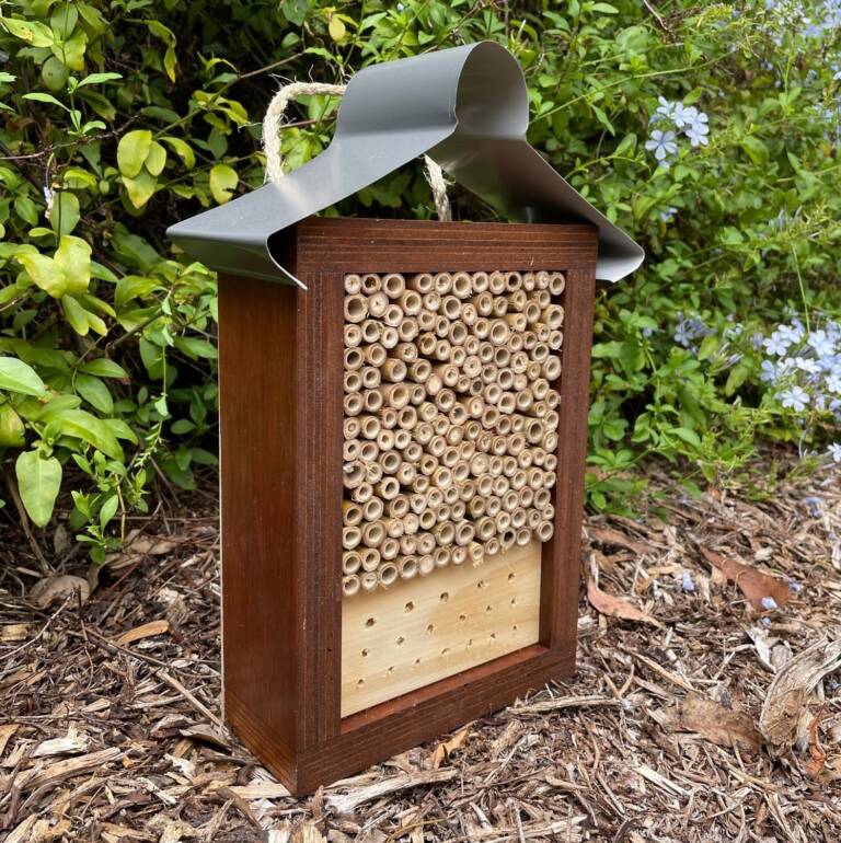 DIY Kit Stingless OATH Bee Hive Do It Yourself Kit Native Beehive
