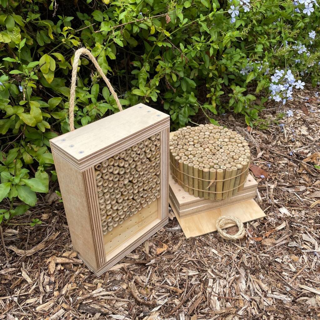 DIY Kit Solitary Native Bee Hotel Australian Ladybird Insect House