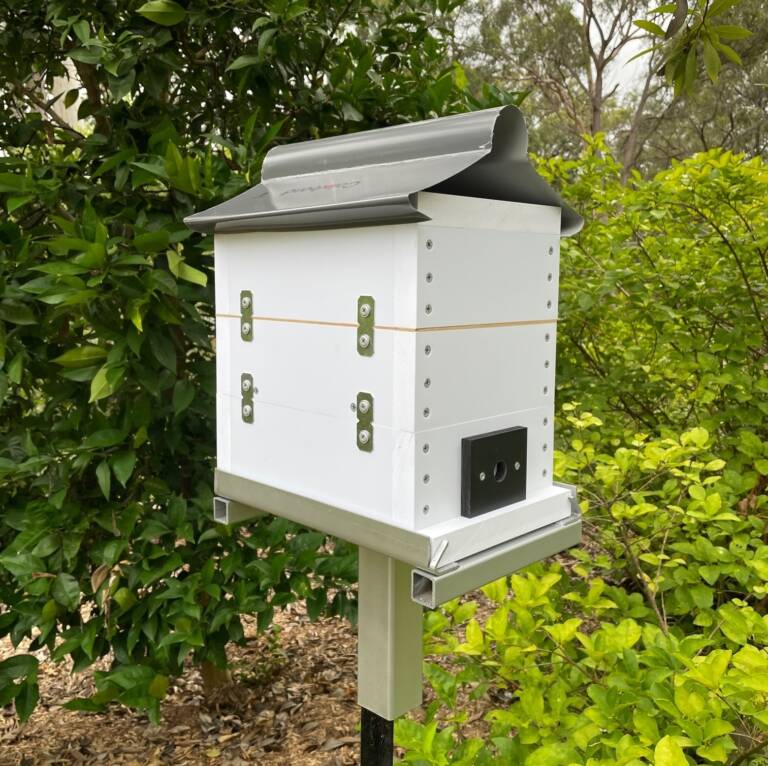 Native Bee Hive Star Picket Stand Galvanized Single Suits OATH