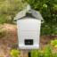 Native Bee Hive Star Picket Stand Galvanized Single Suits OATH