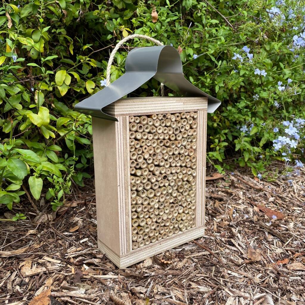 Bare Timber Solitary Native Bee Hotel Australian Ladybird Insect