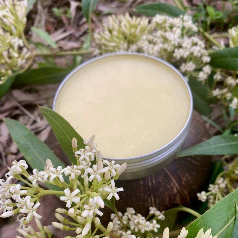 Bee Balm Skin Salve with Stingless Native Bee Propolis - ABeeC