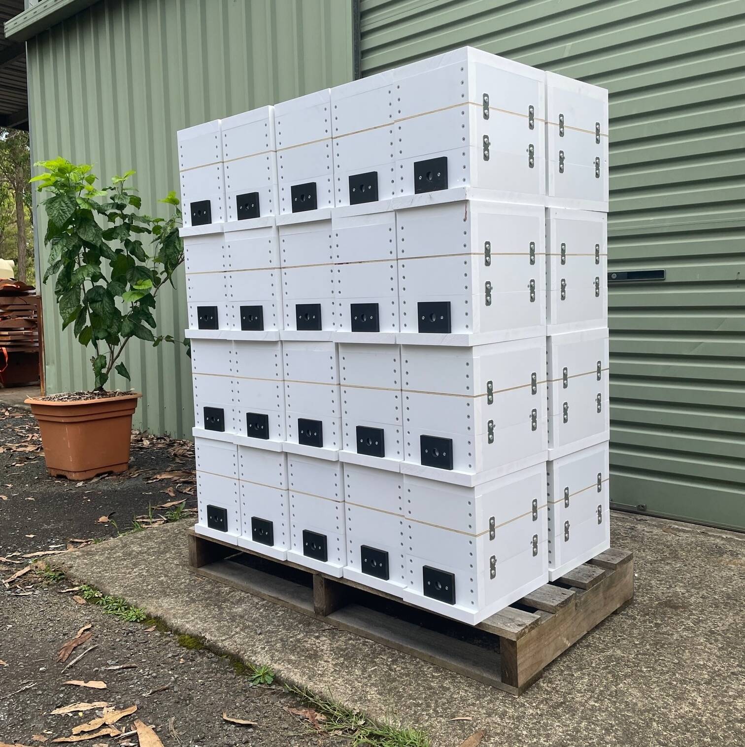 Commercial Bulk Native Bee Hives - ABeeC Hives