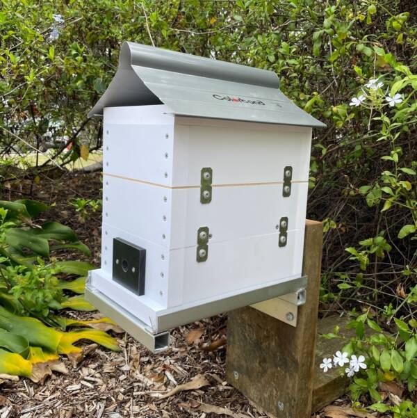 Wall or Fence Mounted Native Bee Hive Stand Galvanized OATH