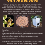 Information Sign for Stingless Native Bee Hives - ABeeC Hives