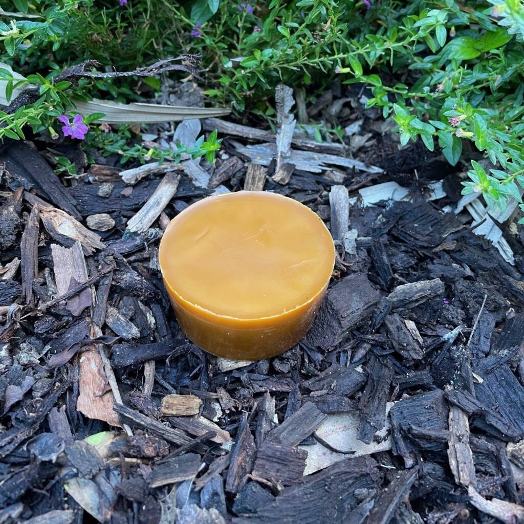 70g Propolis Wax Resin From Stingless Australian Native Bees