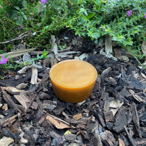 70g Propolis Wax Resin From Stingless Australian Native Bees