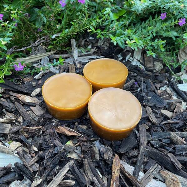 70g Propolis Wax Resin From Stingless Australian Native Bees